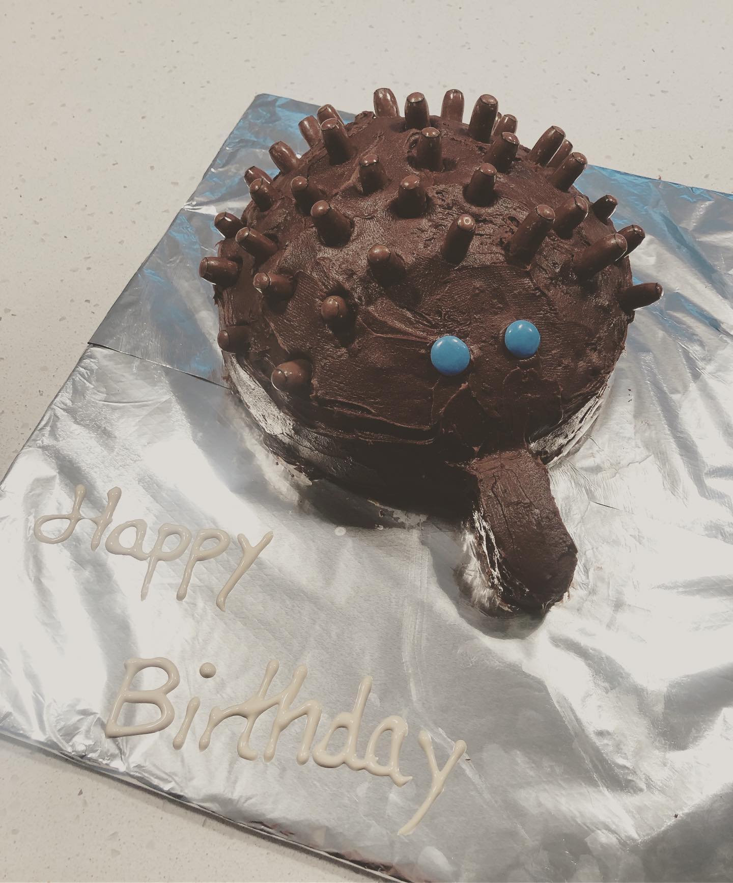 [New Designs] 13 Echidna Cake Design Ideas & Images in 2024