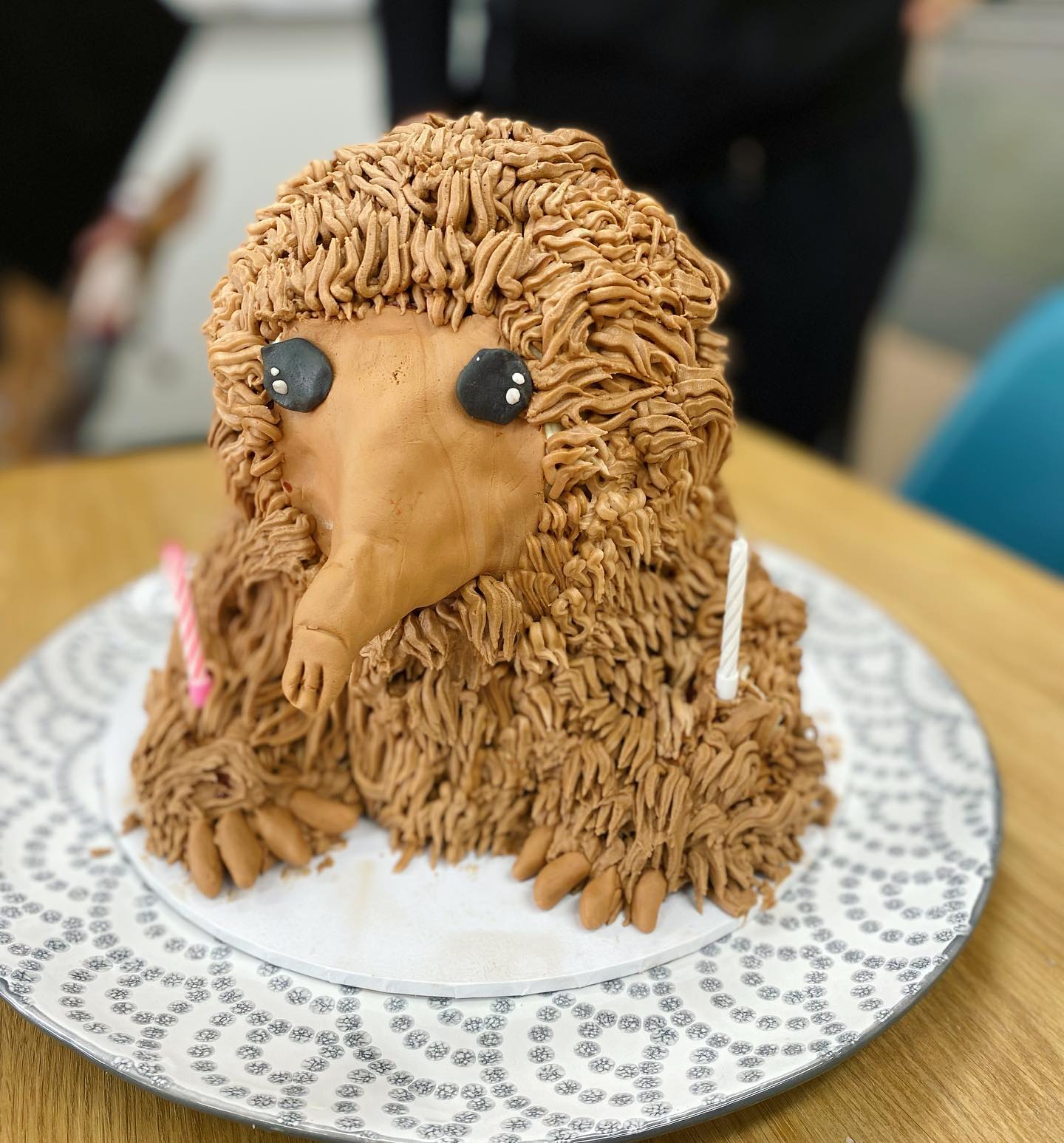 [New Designs] 13 Echidna Cake Design Ideas & Images in 2024