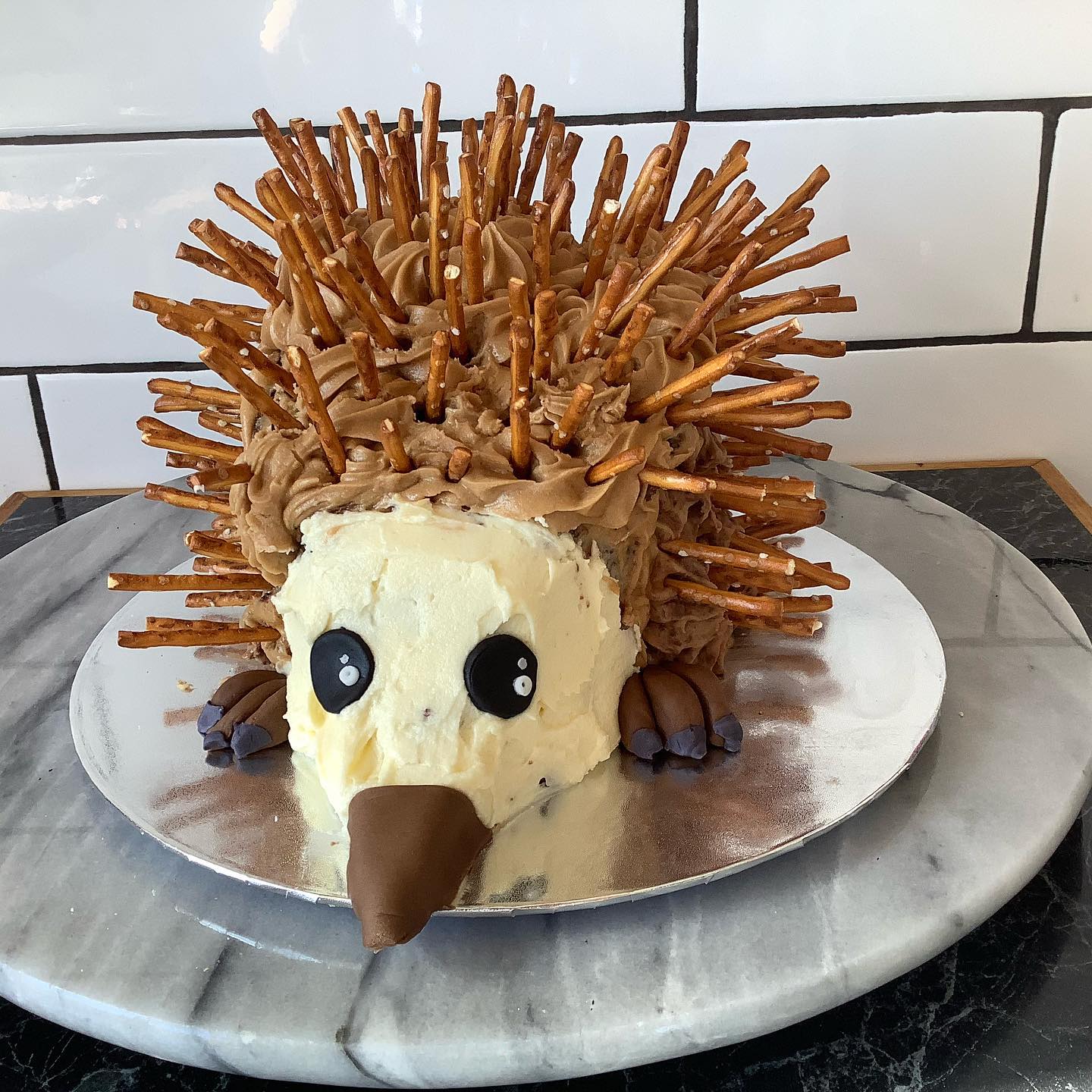 [New Designs] 13 Echidna Cake Design Ideas & Images in 2024