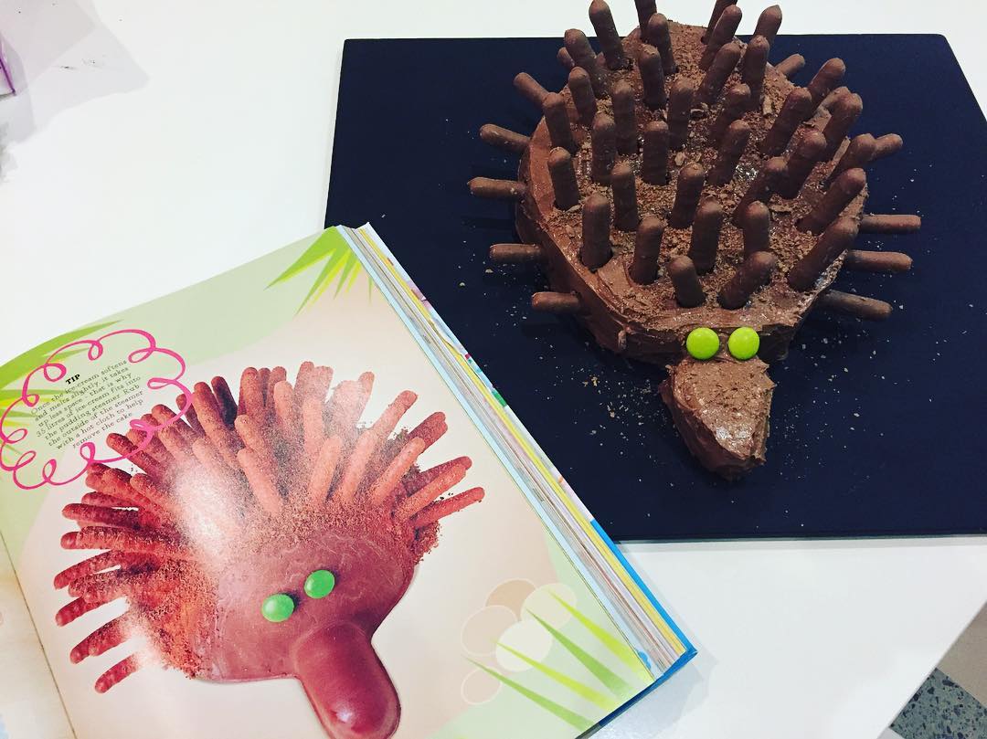 [New Designs] 13 Echidna Cake Design Ideas & Images in 2024