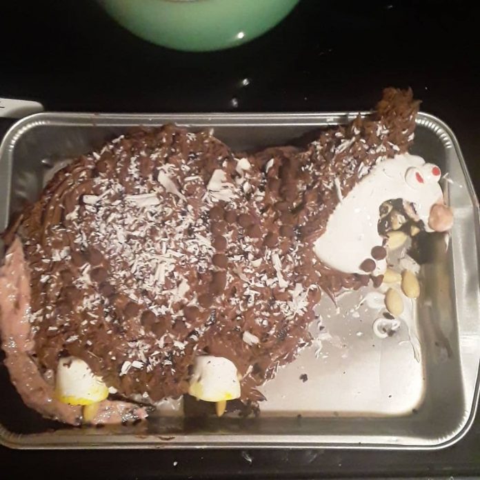 [New] 18 Possum Shaped Cake Designs Images in 2024