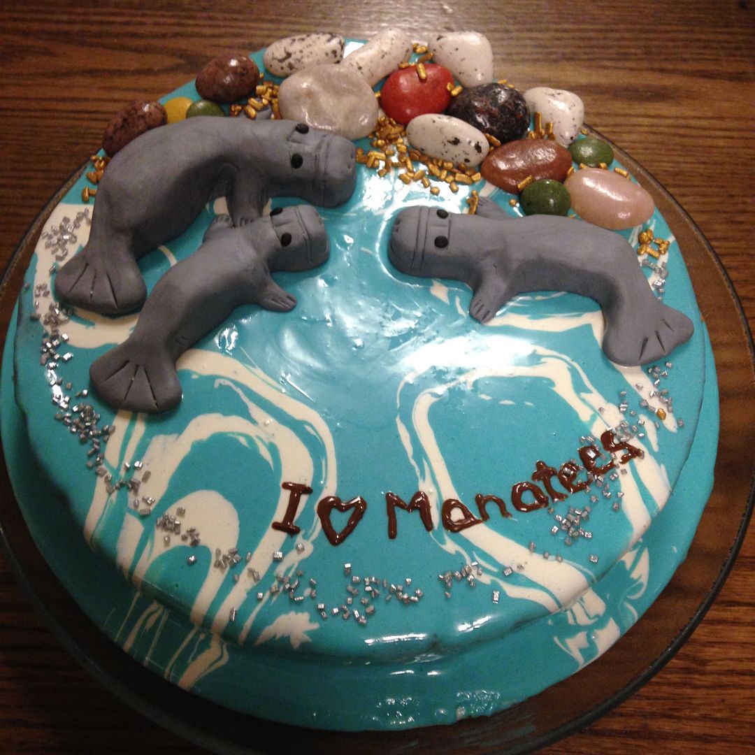 [Updated] 14 Manatee Cake Designs, Images, Toppers in 2024