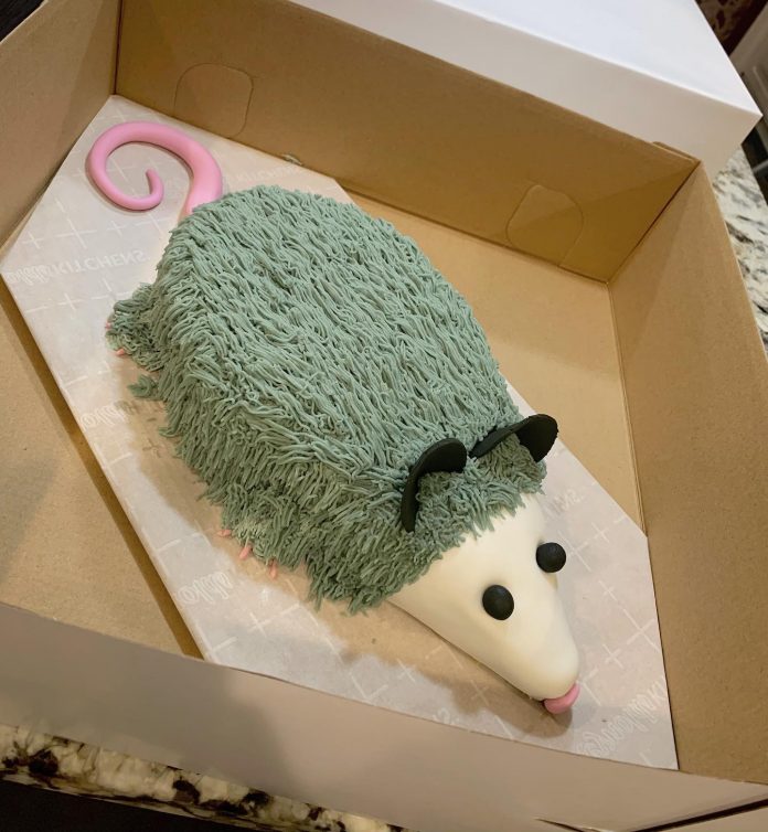 [New] 18 Possum Shaped Cake Designs Images in 2024