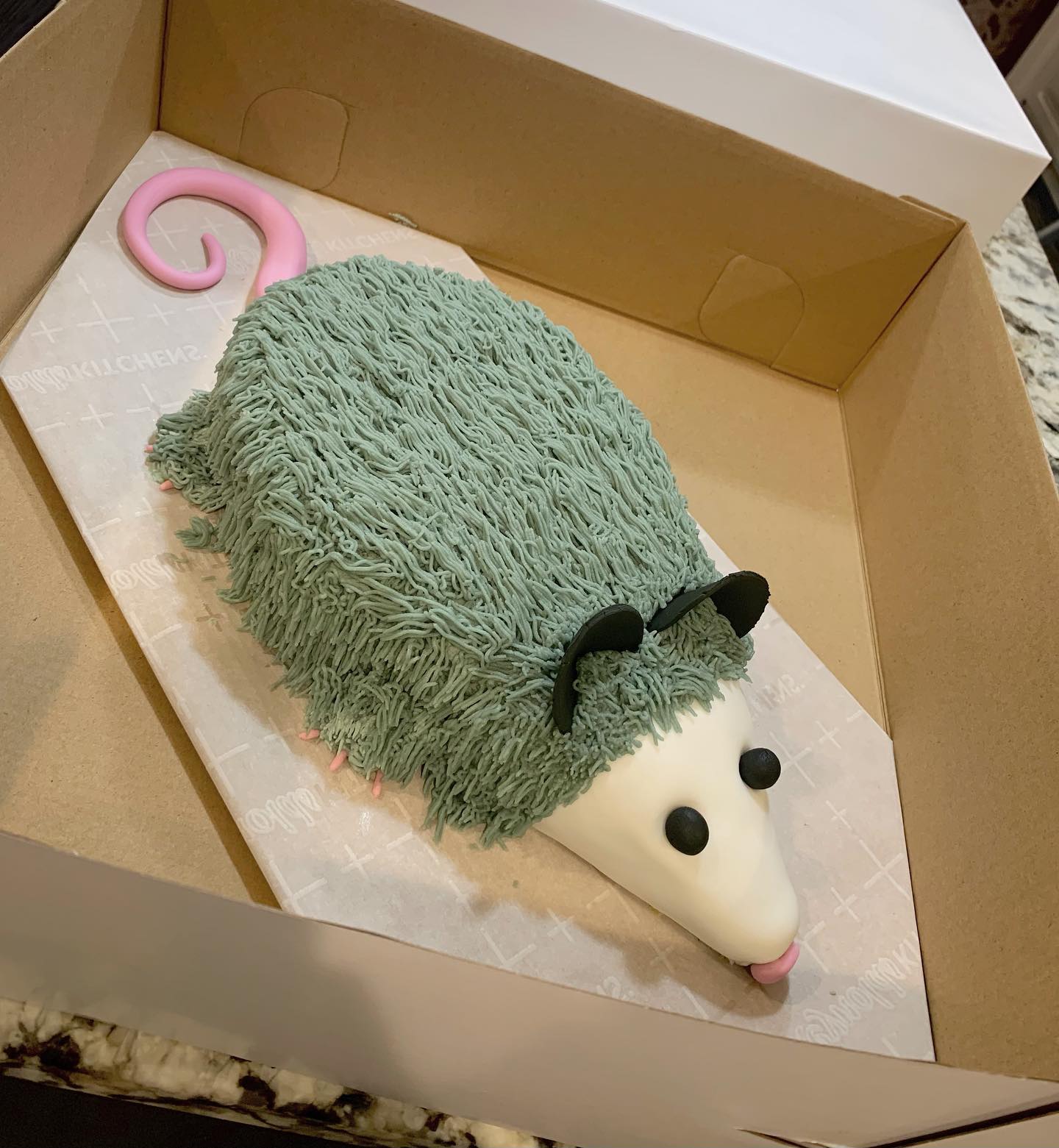 [New] 18 Possum Shaped Cake Designs Images in 2024