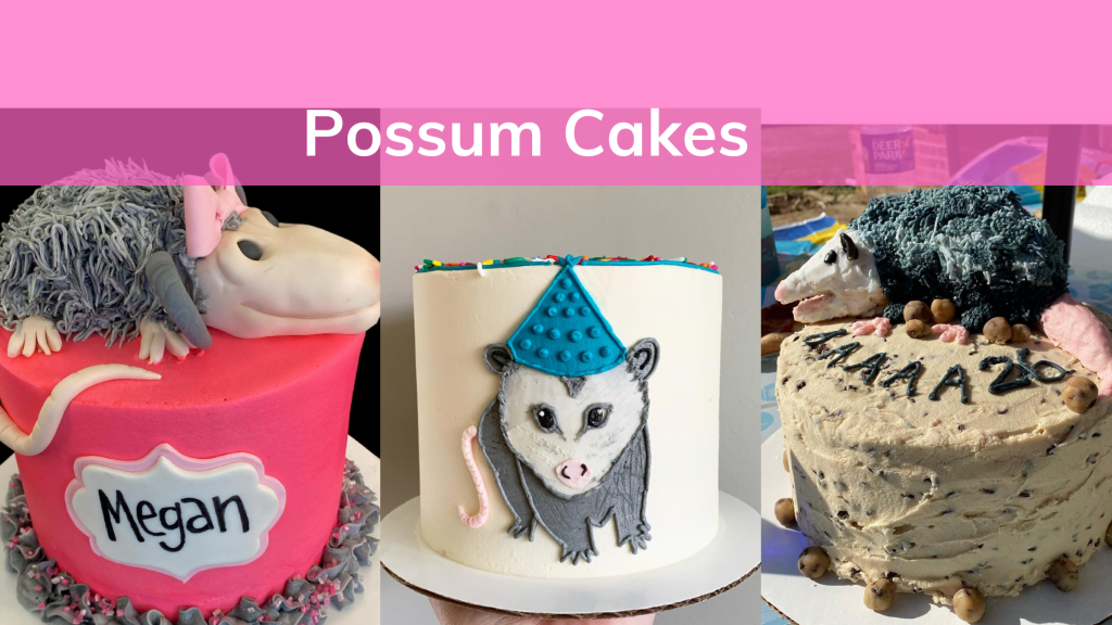 [New] 18 Possum Shaped Cake Designs Images in 2024