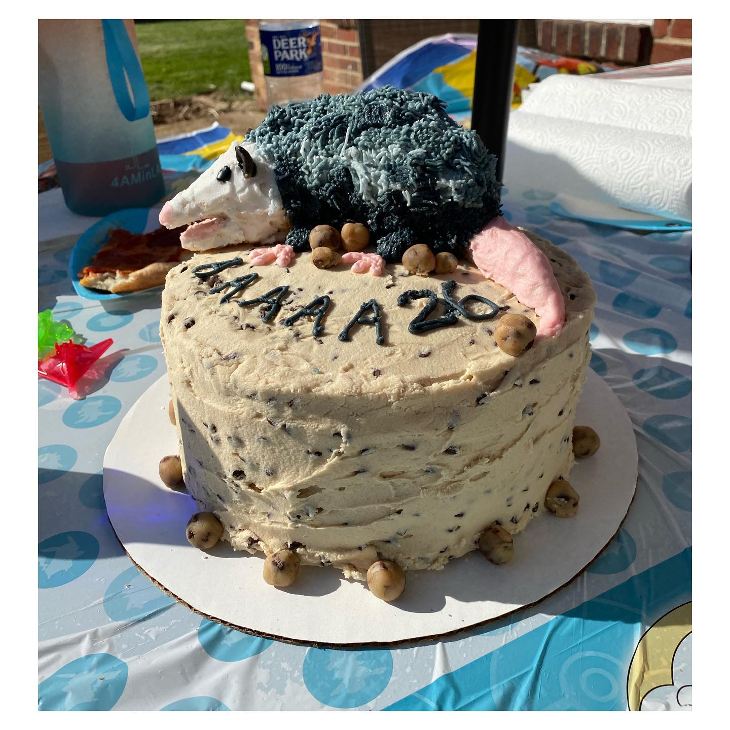 [New] 18 Possum Shaped Cake Designs Images in 2024