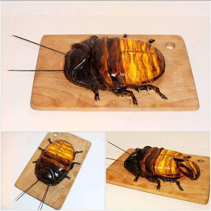 [Updated] 14 Cockroach Cake Design Ideas Decorations Toppers in 2024