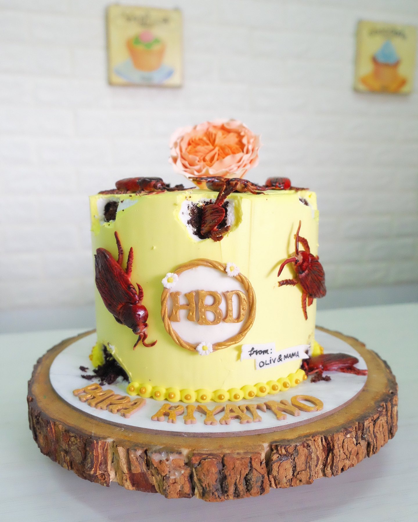 [Updated] 14 Cockroach Cake Design Ideas Decorations Toppers in 2024