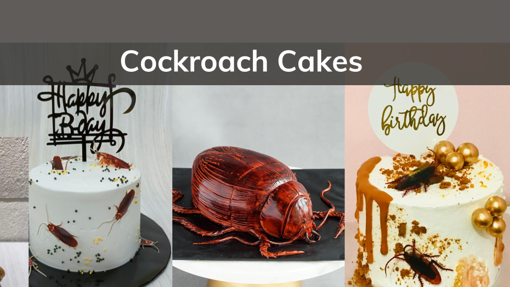 [Updated] 14 Cockroach Cake Design Ideas Decorations Toppers in 2024