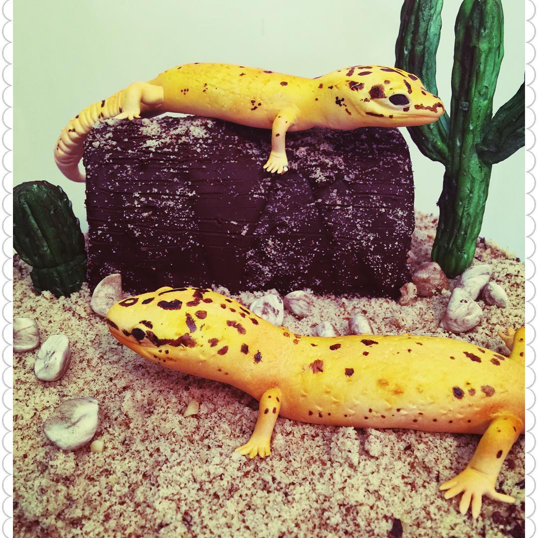 [Latest] 13 Lizard Cake Designs Ideas for Birthday in 2024