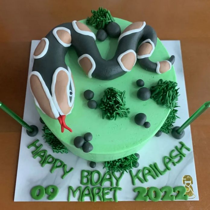 18 Snake Cake Design Ideas Images for Birthday in 2023