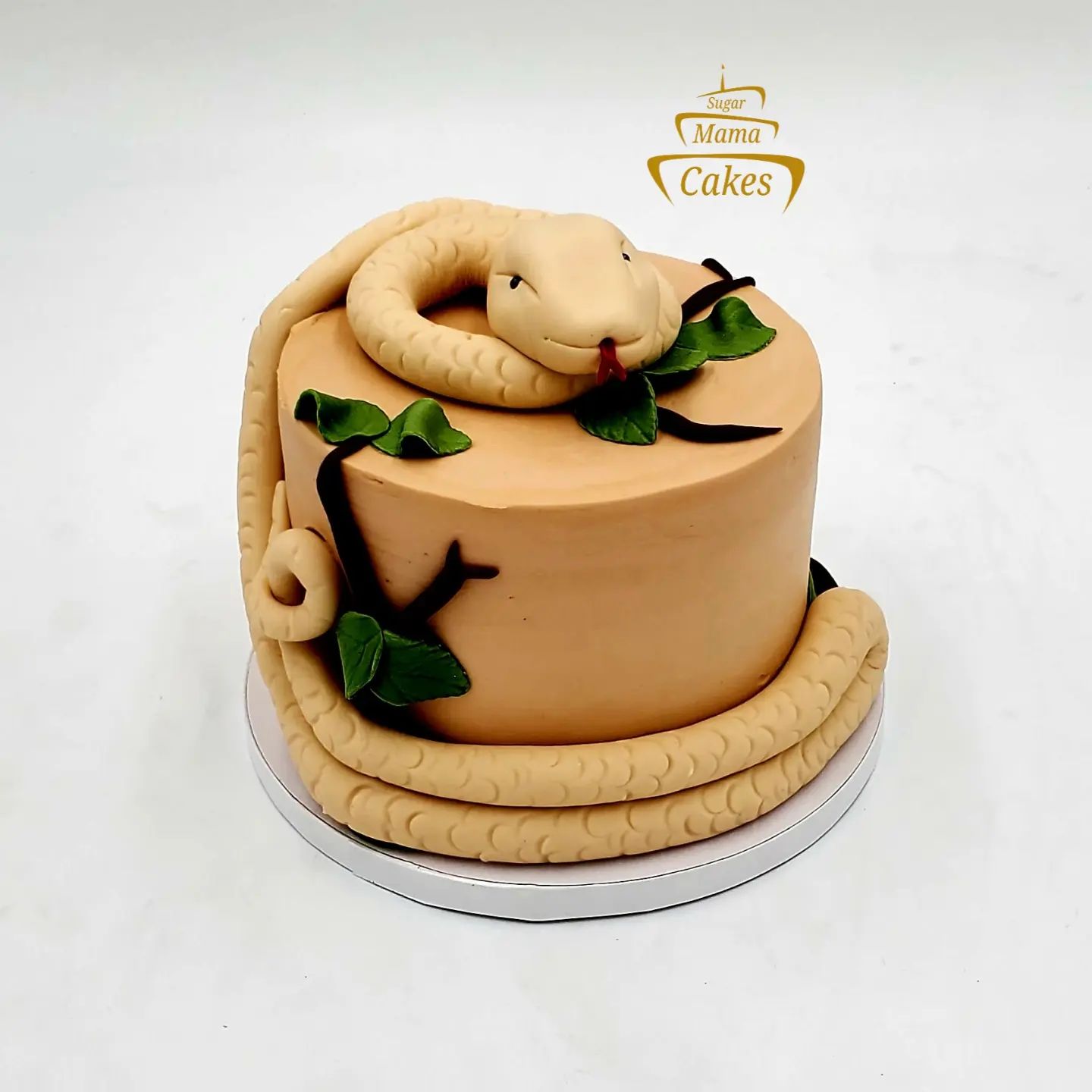 18 Snake Cake Design Ideas Images for Birthday in 2023