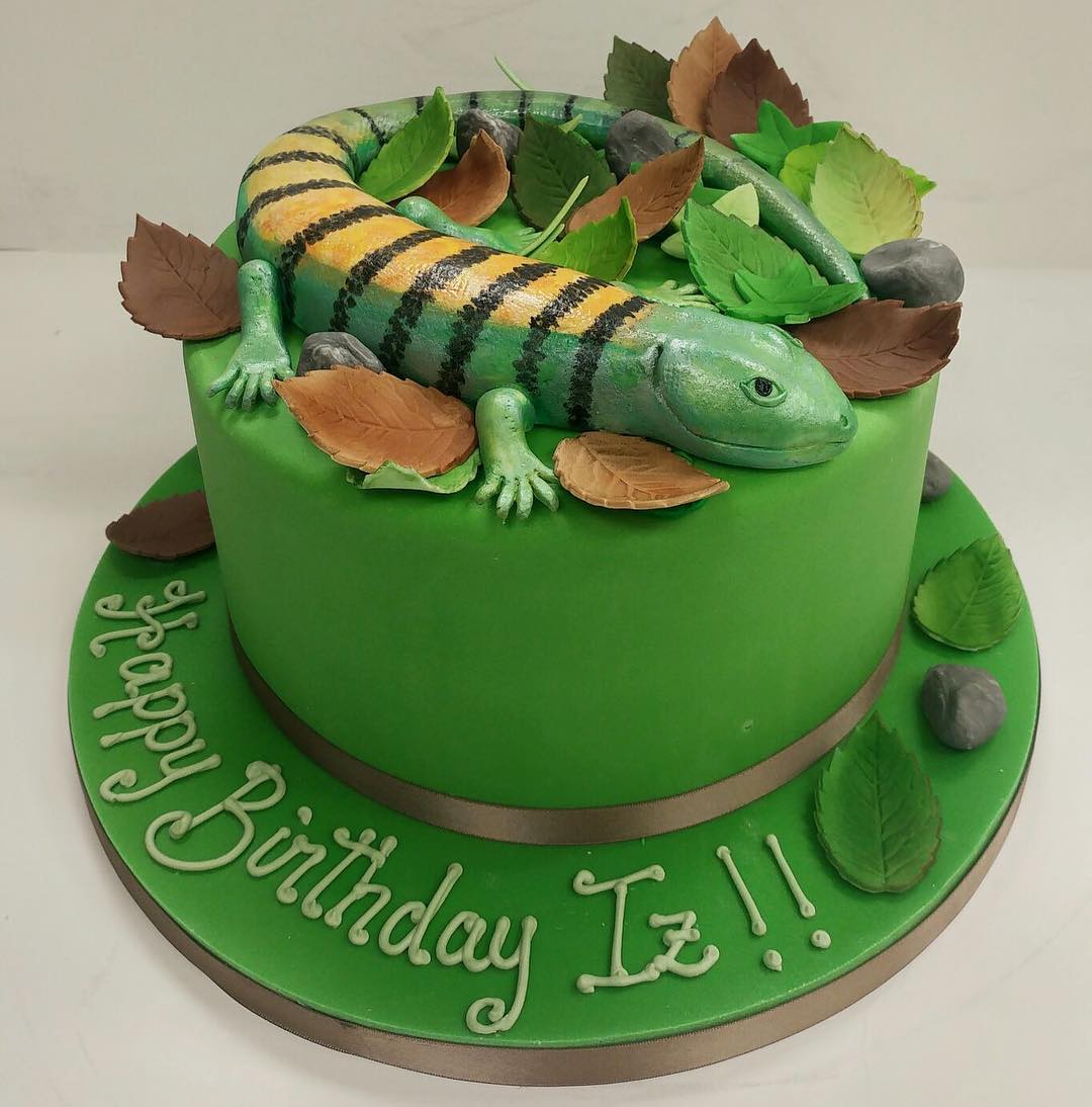 [Latest] 13 Lizard Cake Designs Ideas for Birthday in 2024