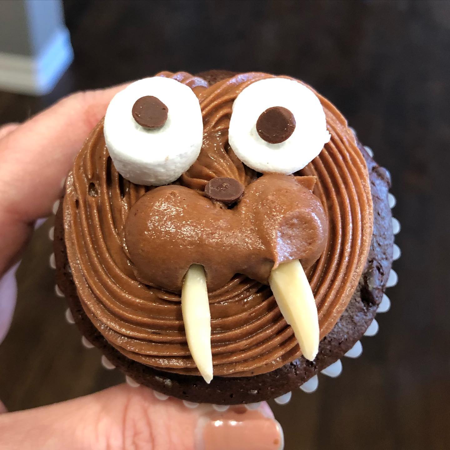 [New] 14 Walrus Cake Designs for Birthday in 2024