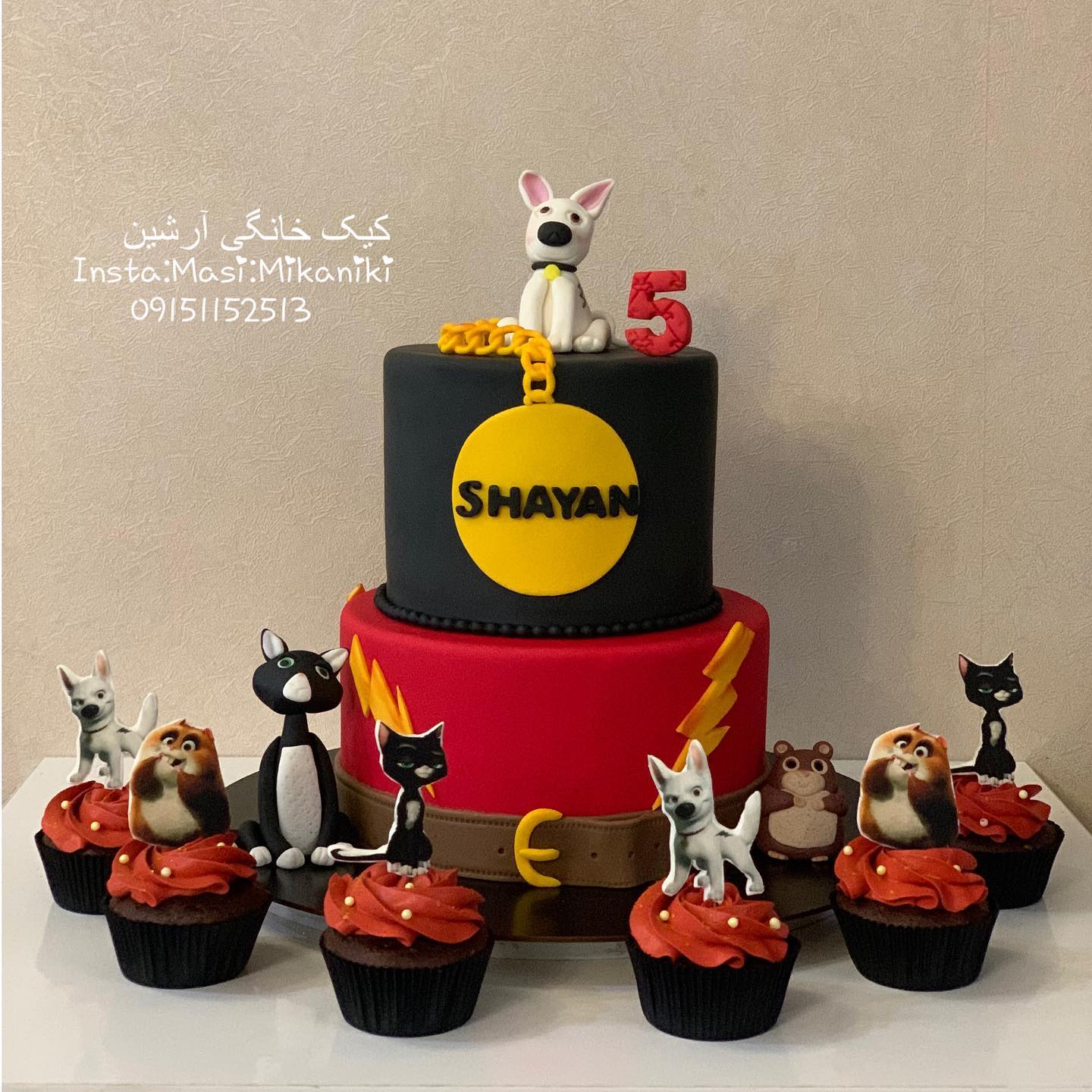 [Updated] 14 Bolt Movie Cake Designs Ideas Images in 2024