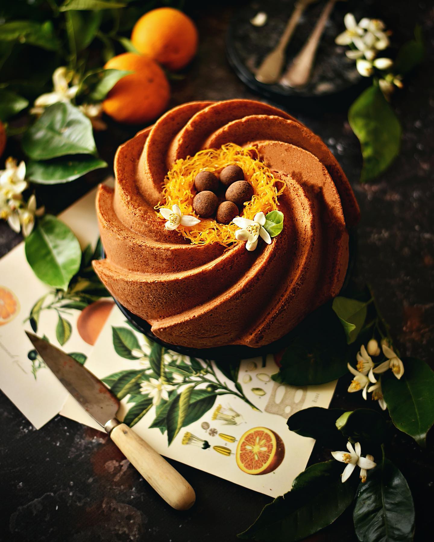 [Updated] 15 Orange Cake Designs for Birthdays in 2023