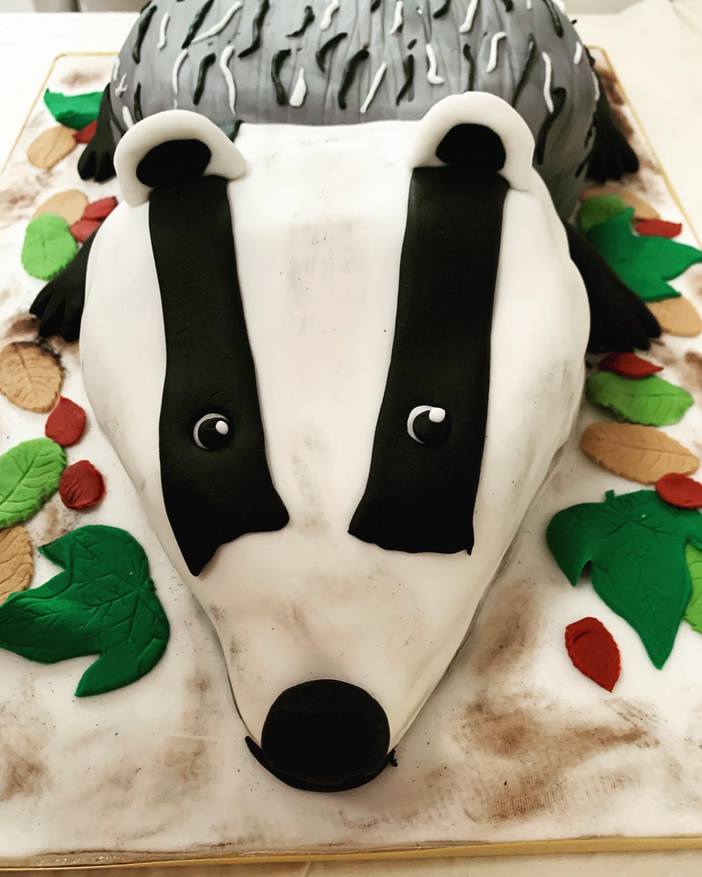[New] 18 Badger Shaped Cake Designs Toppers in 2024