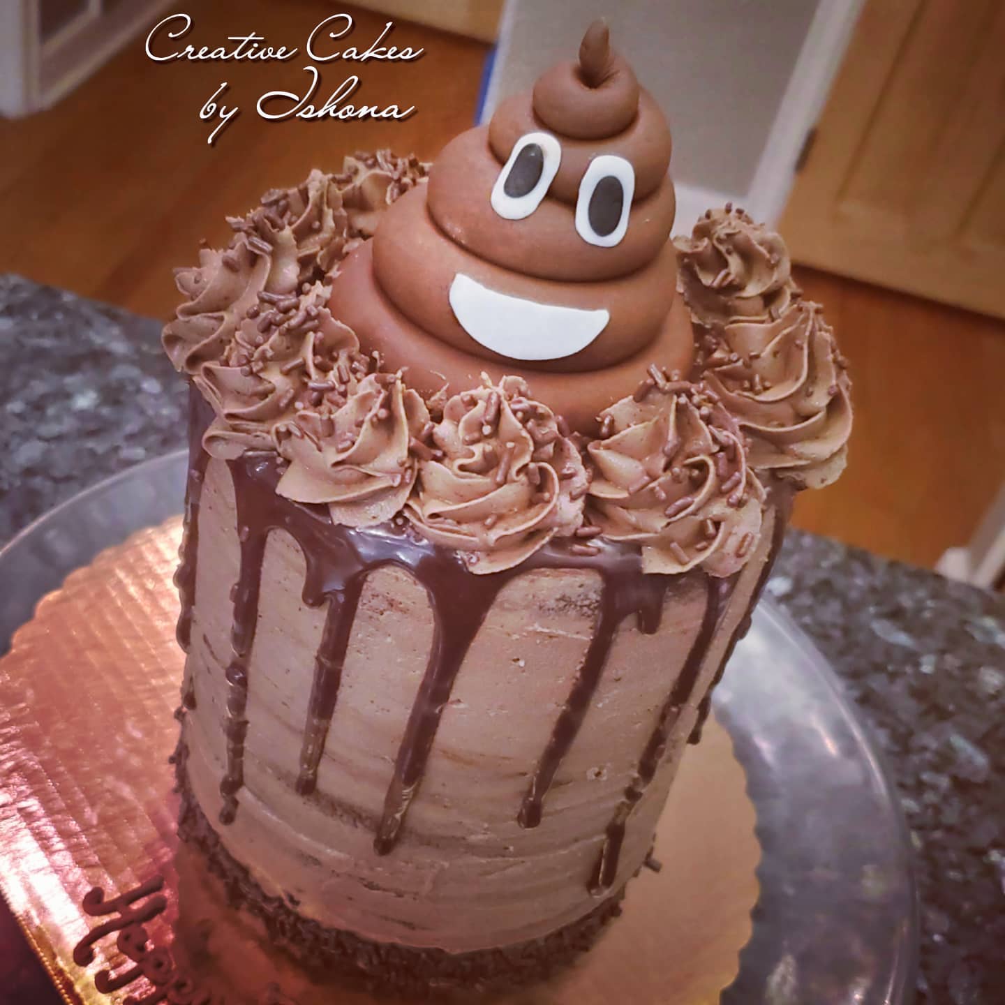 [New Designs] 15 Poop Cake Designs Ideas Decorations in 2024