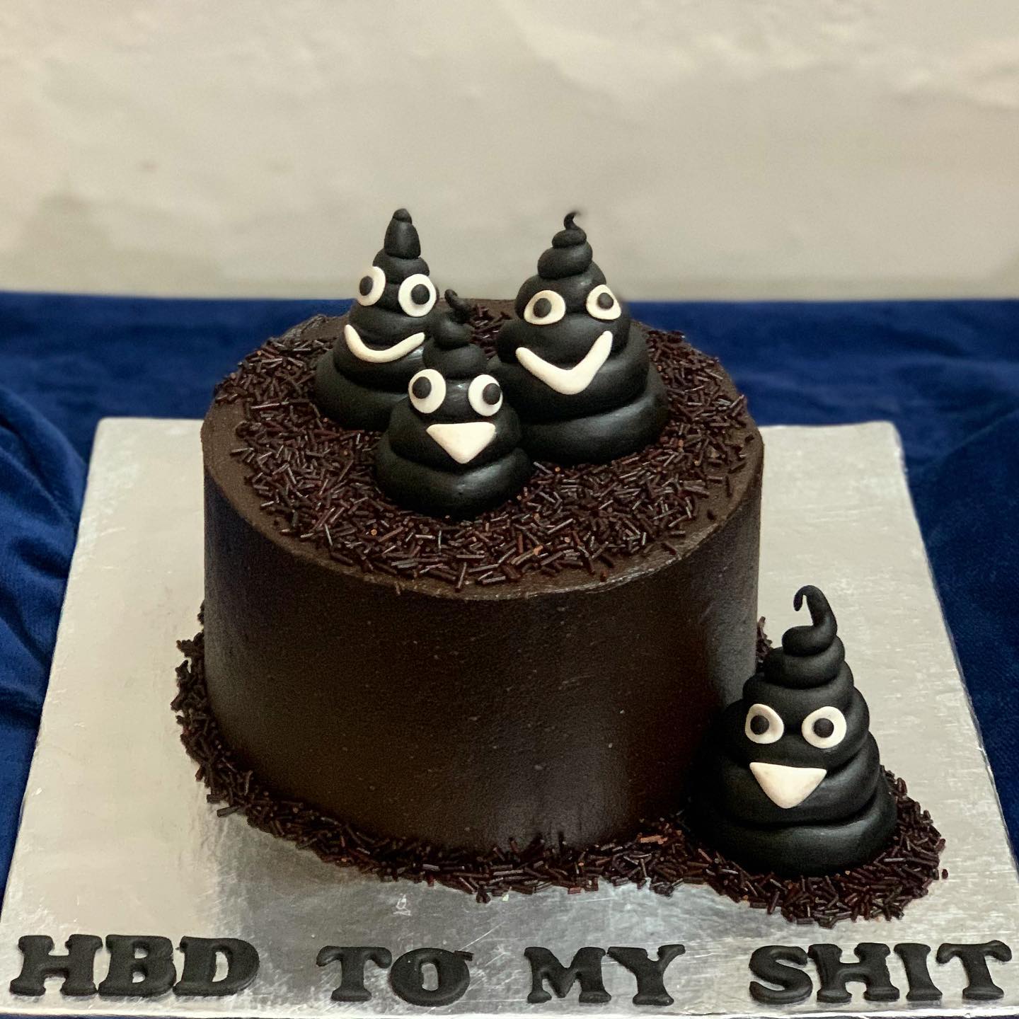 [New Designs] 15 Poop Cake Designs Ideas Decorations in 2024