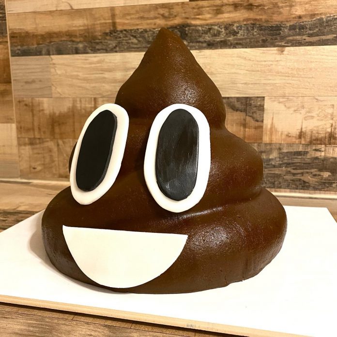 [New Designs] 15 Poop Cake Designs Ideas Decorations in 2024