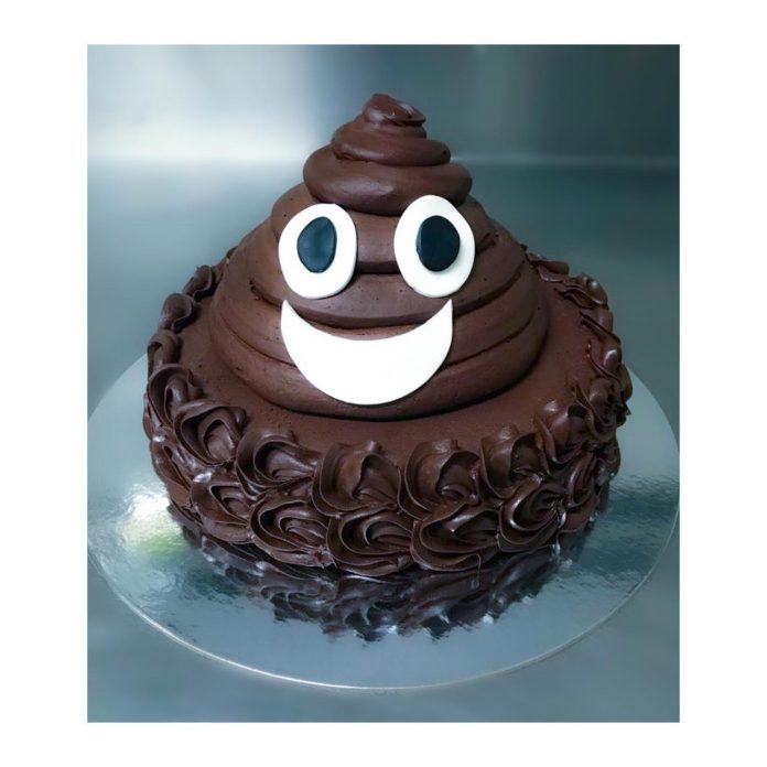 [New Designs] 15 Poop Cake Designs Ideas Decorations in 2024