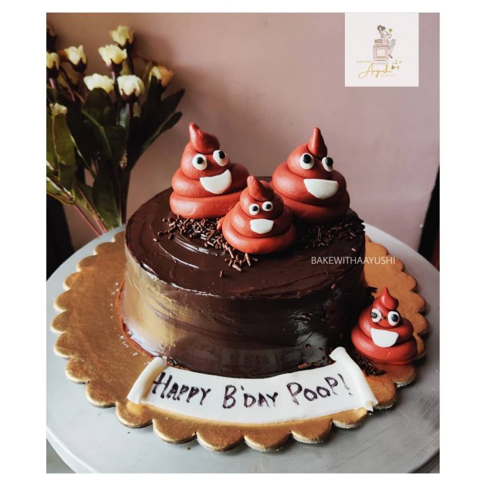 [New Designs] 15 Poop Cake Designs Ideas Decorations in 2024
