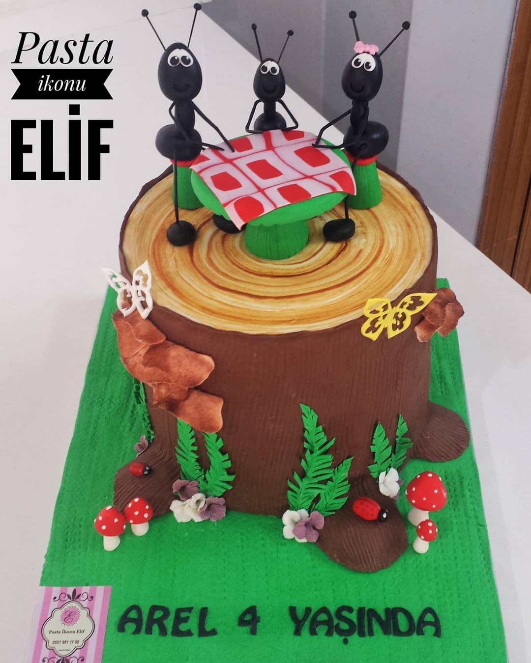 [New] 18 Ant Cake Designs Ideas Decorations in 2024