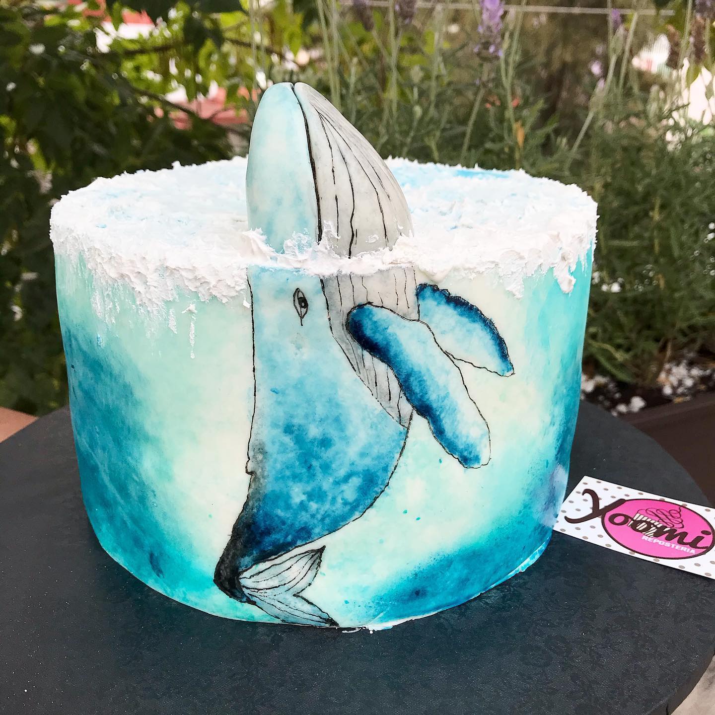 [New Designs] 15 Blue Whale Cake Designs Ideas Decorations in 2024