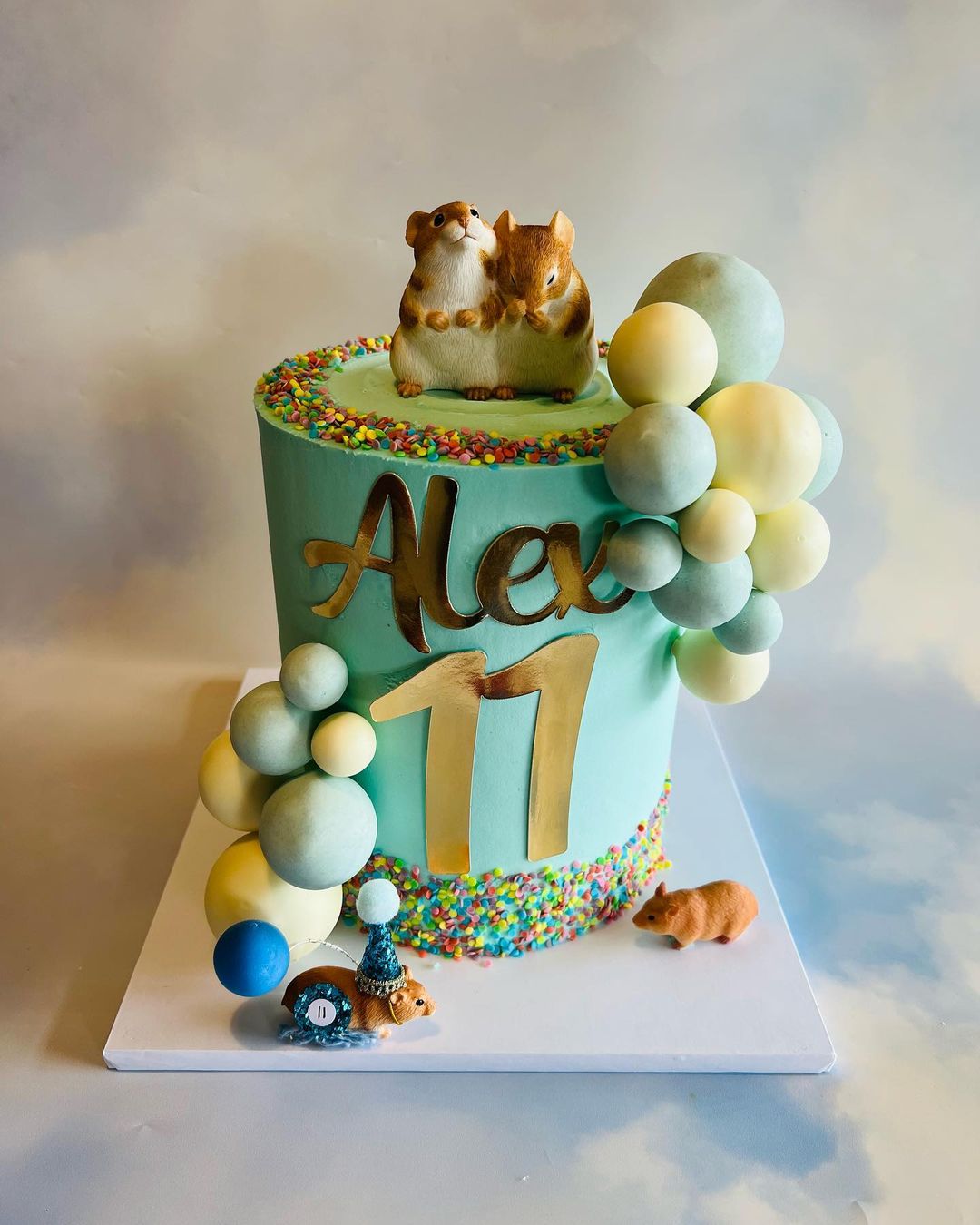 17 Hamster Cake Designs Images Ideas in 2024