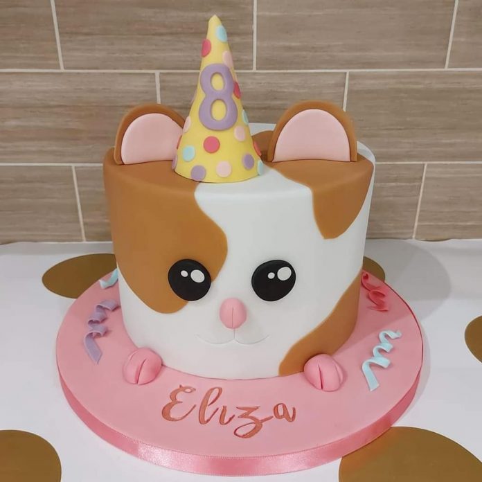 17 Hamster Cake Designs Images Ideas in 2024