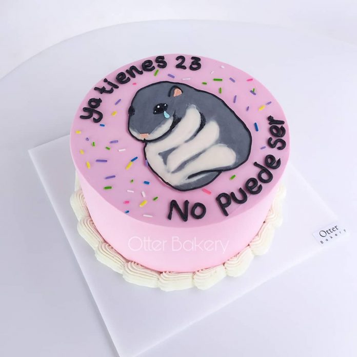 17 Hamster Cake Designs Images Ideas in 2024