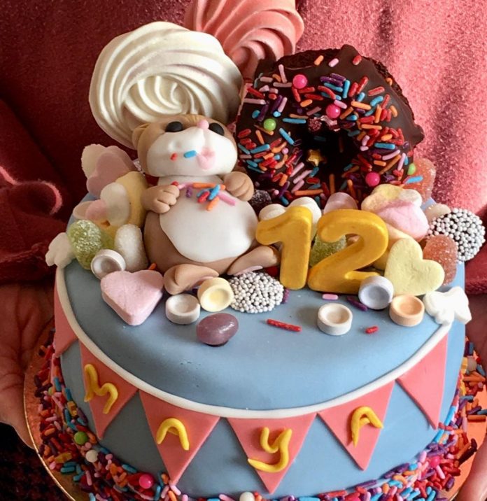17 Hamster Cake Designs Images Ideas in 2024