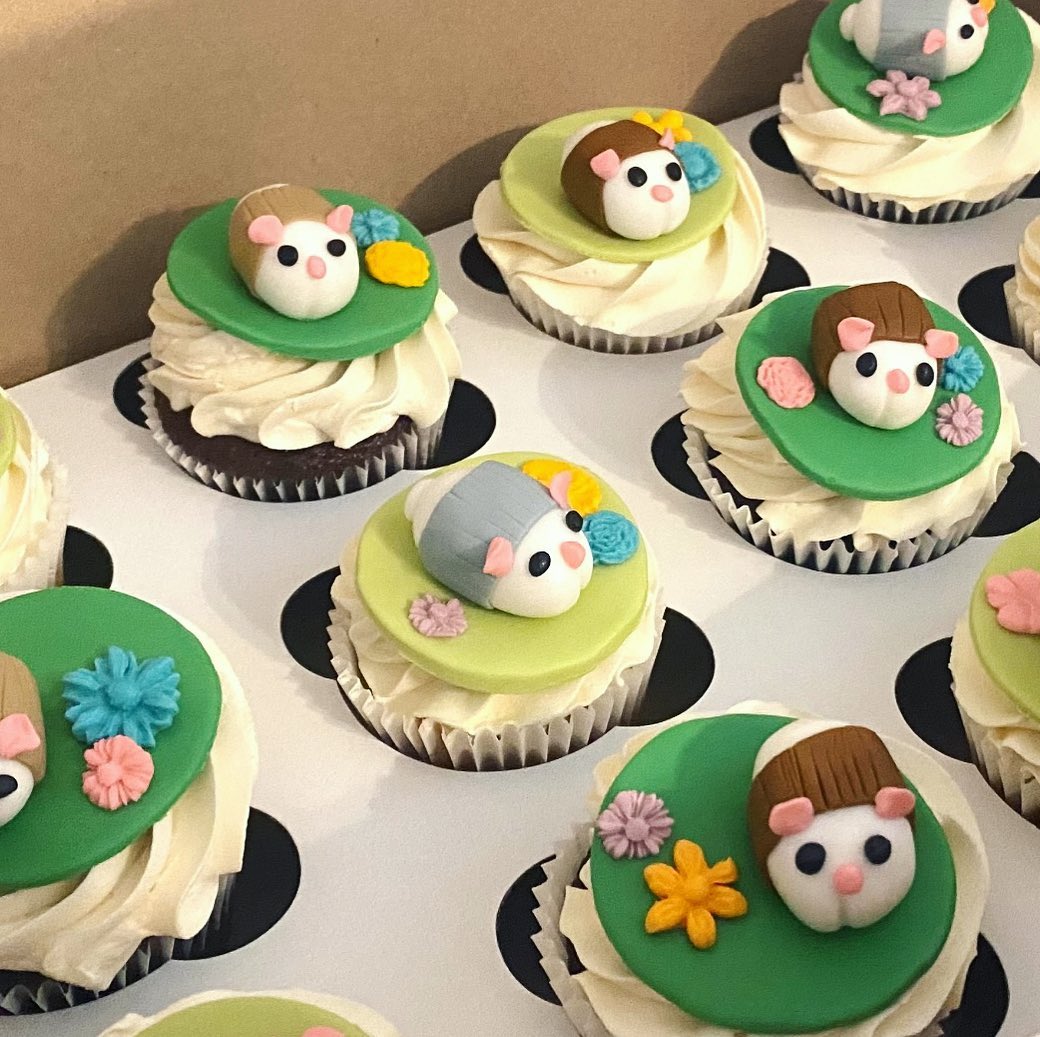 17 Hamster Cake Designs Images Ideas in 2024