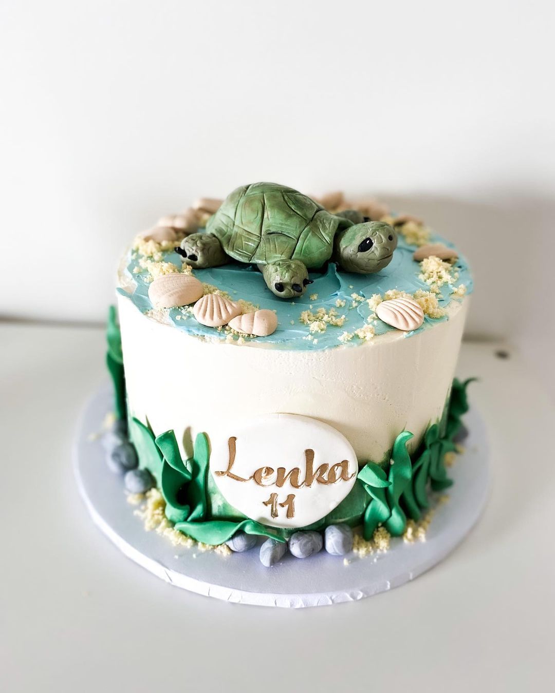 [New] Turtle Cake Designs for Birthday in 2024
