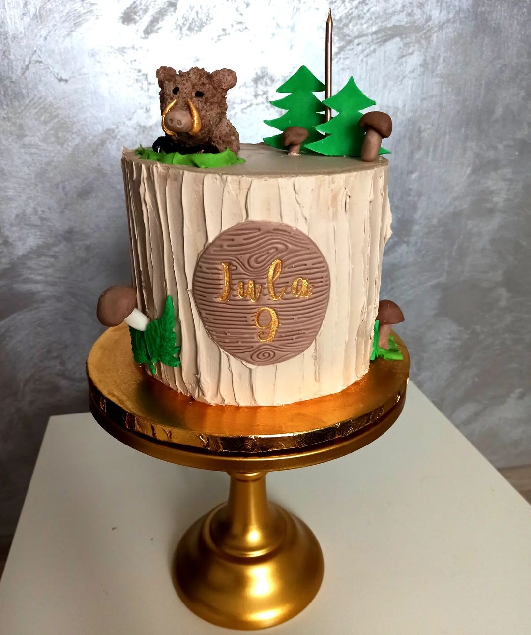 Boar Cake Designs for Cute Fat People in 2024