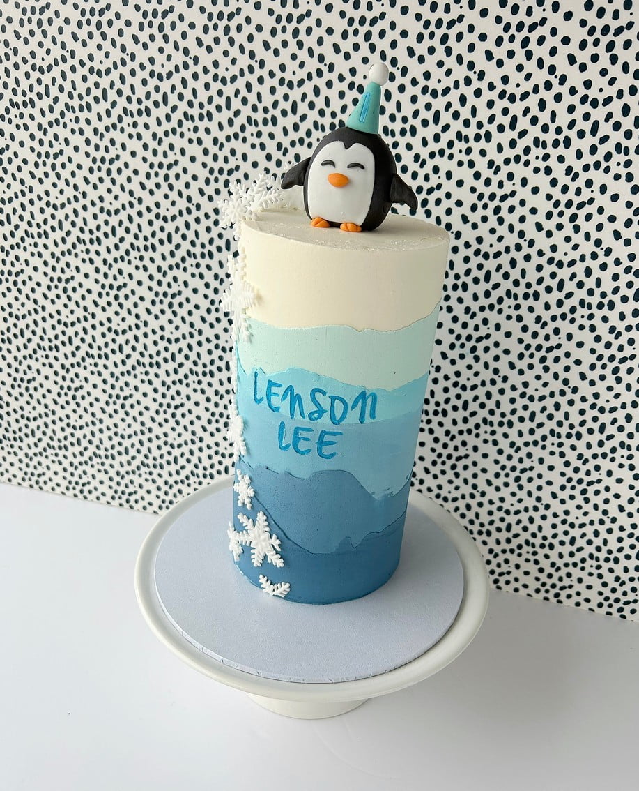 Penguin Cake Designs Decorations in 2024